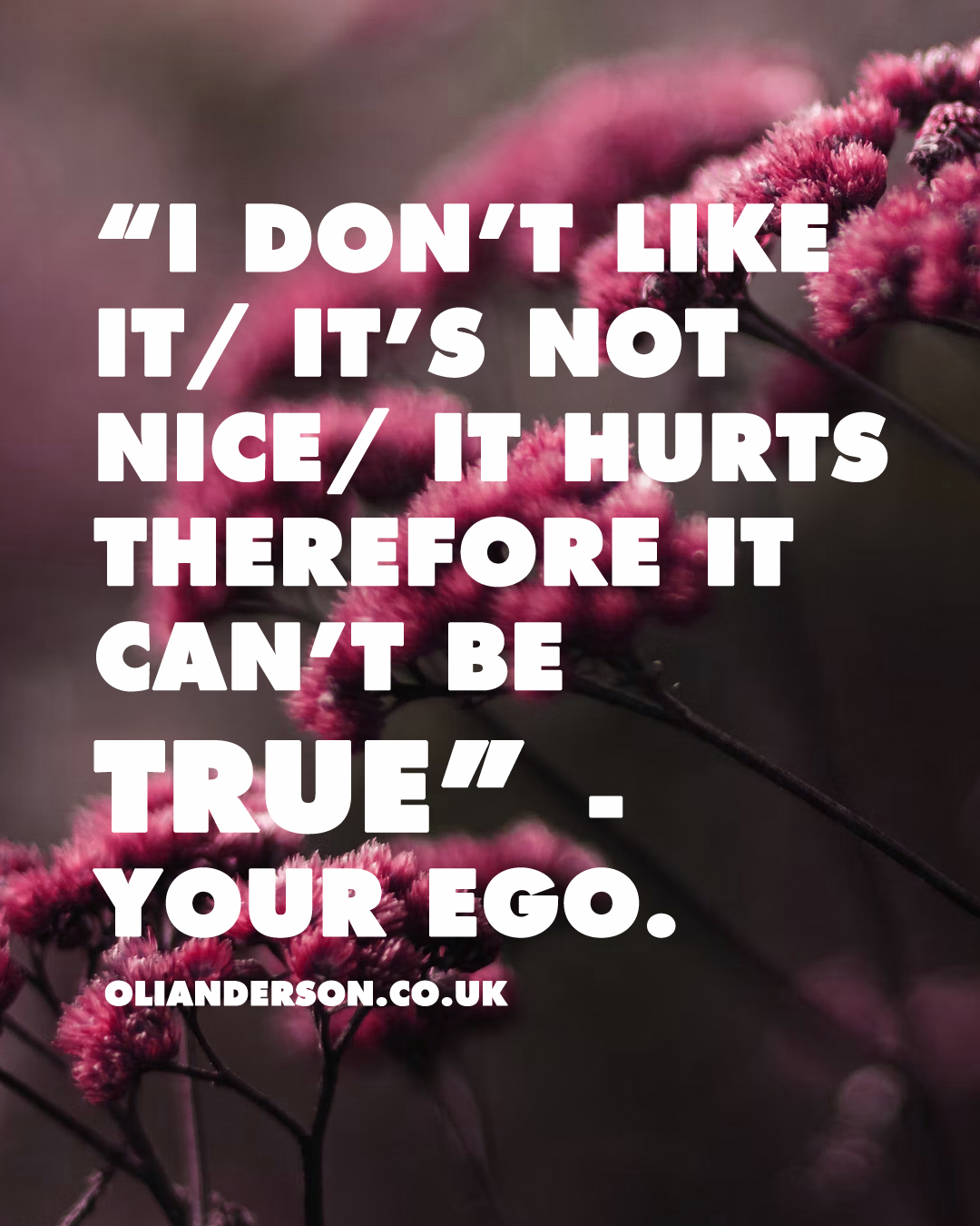 "I Don't Like It/ It's Not Nice / It Hurts Therefore It's Not True ...