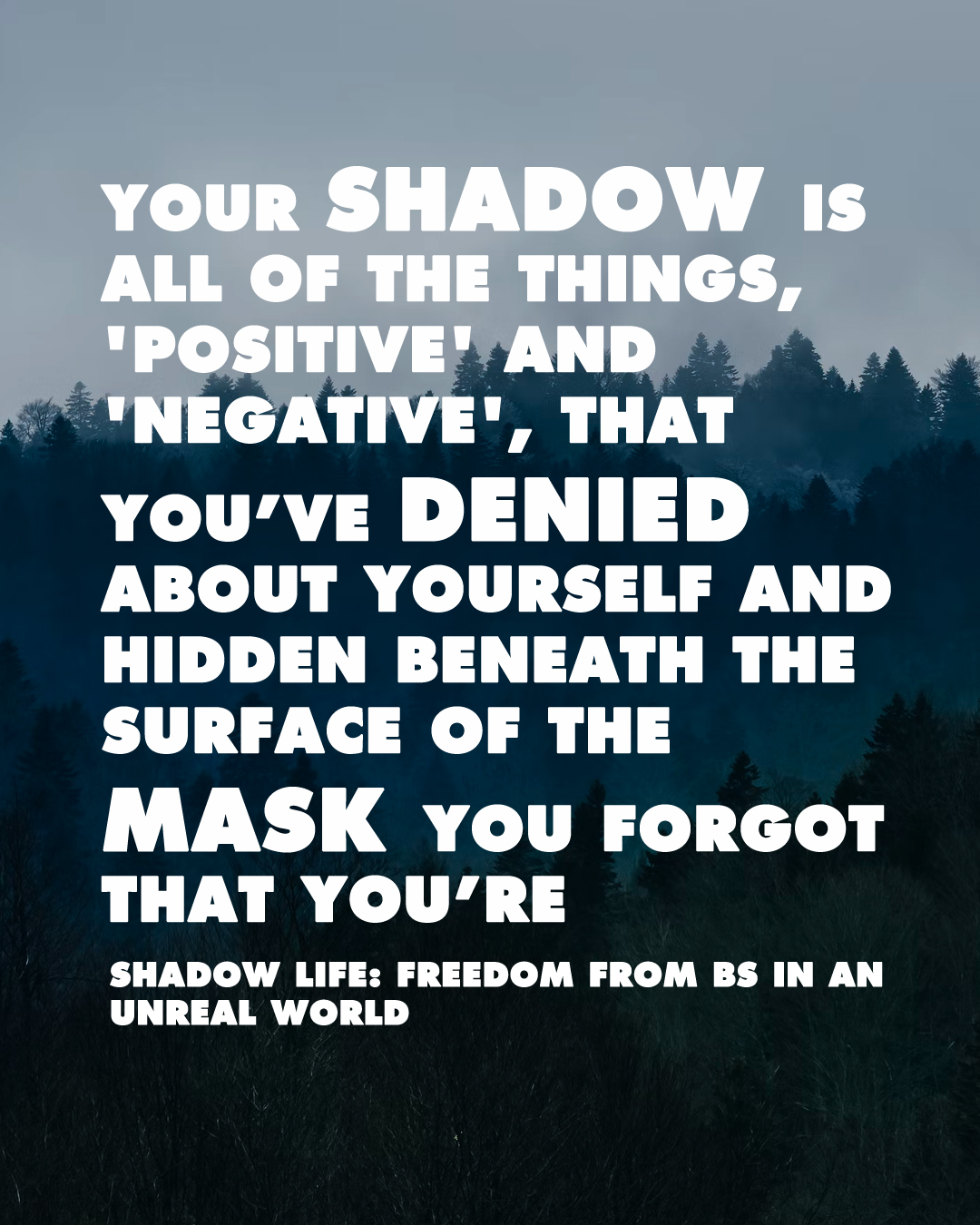 Your Shadow is All of the Things, 'Positive' and 'Negative', that You ...